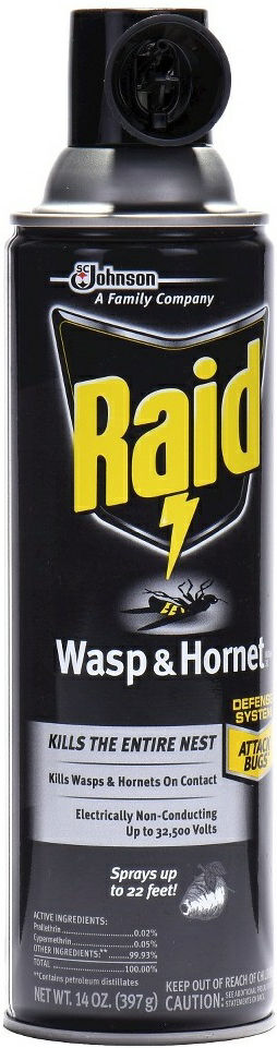 RAID WASP & HORNET SPRAY-14oz - Lee Distributors